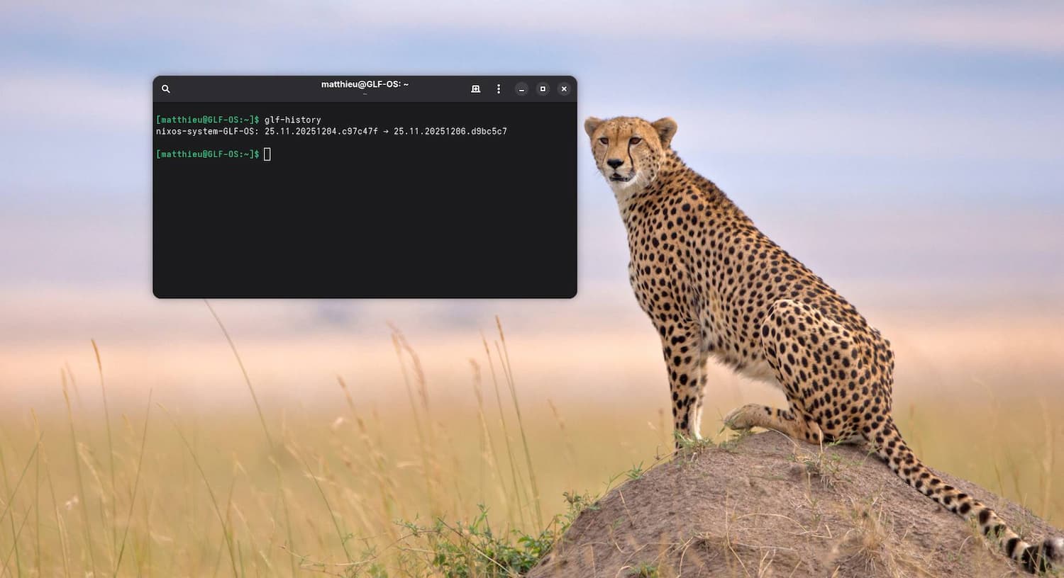 De Windows 10 à GLF OS : Mon passage à Linux pour le gaming | Justman